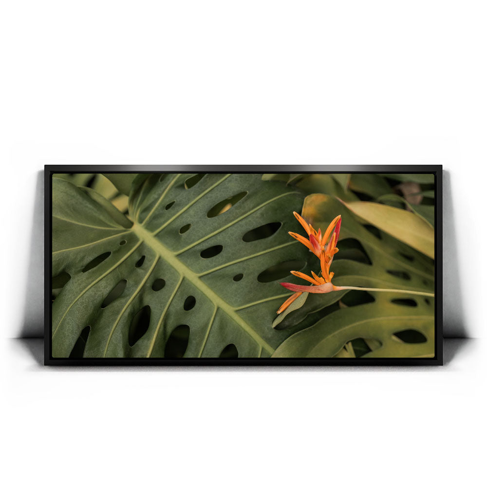 Monstera Visitor - Maui, HI – TheGOATWallArt