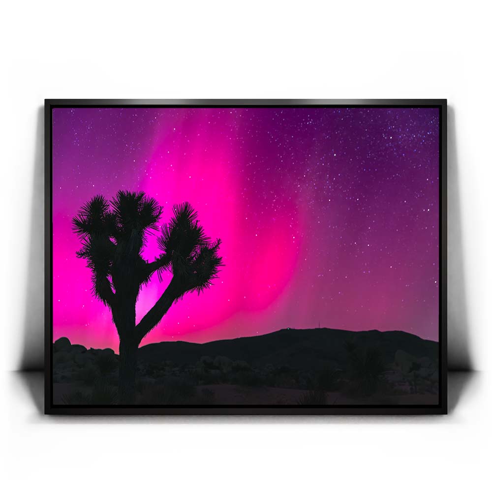 Northern Lights At Joshua Tree – TheGOATWallArt