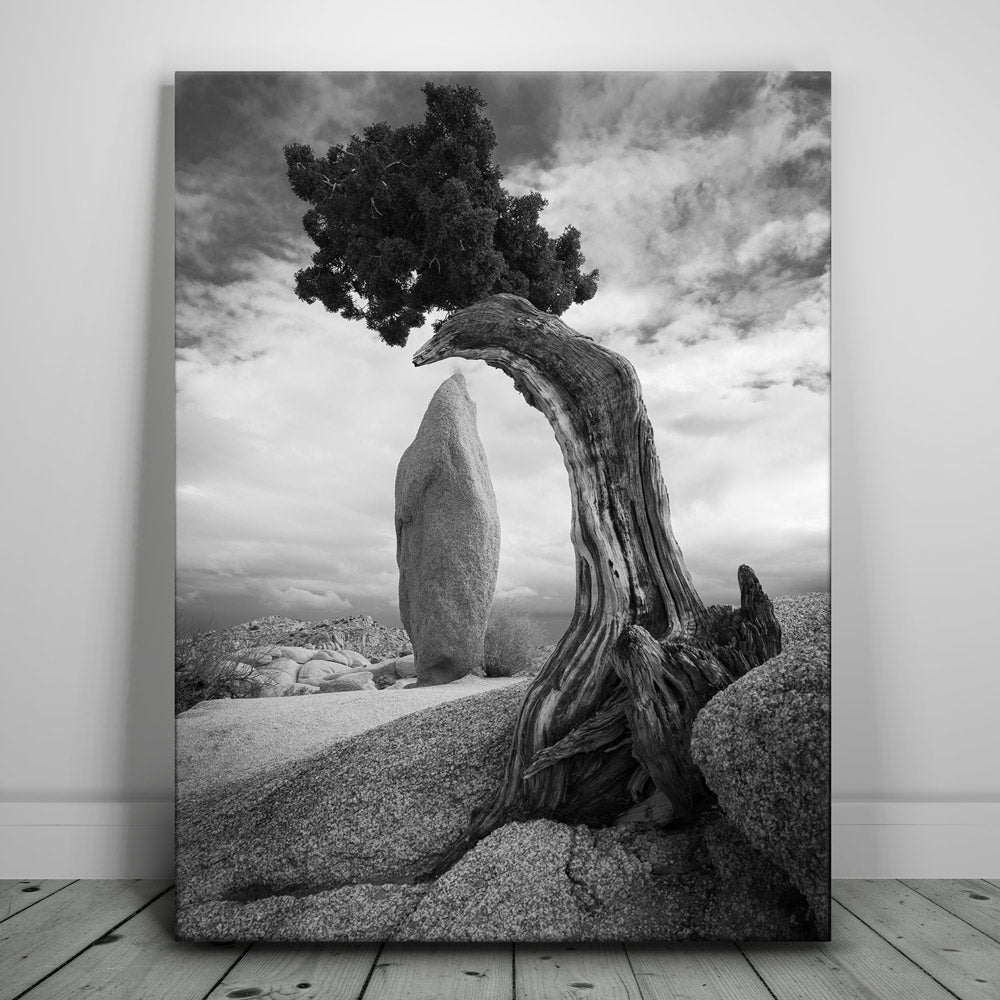 Penguin Rock – TheGOATWallArt
