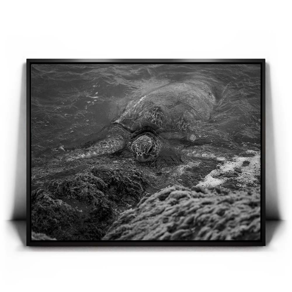 Beachscapes – TheGOATWallArt